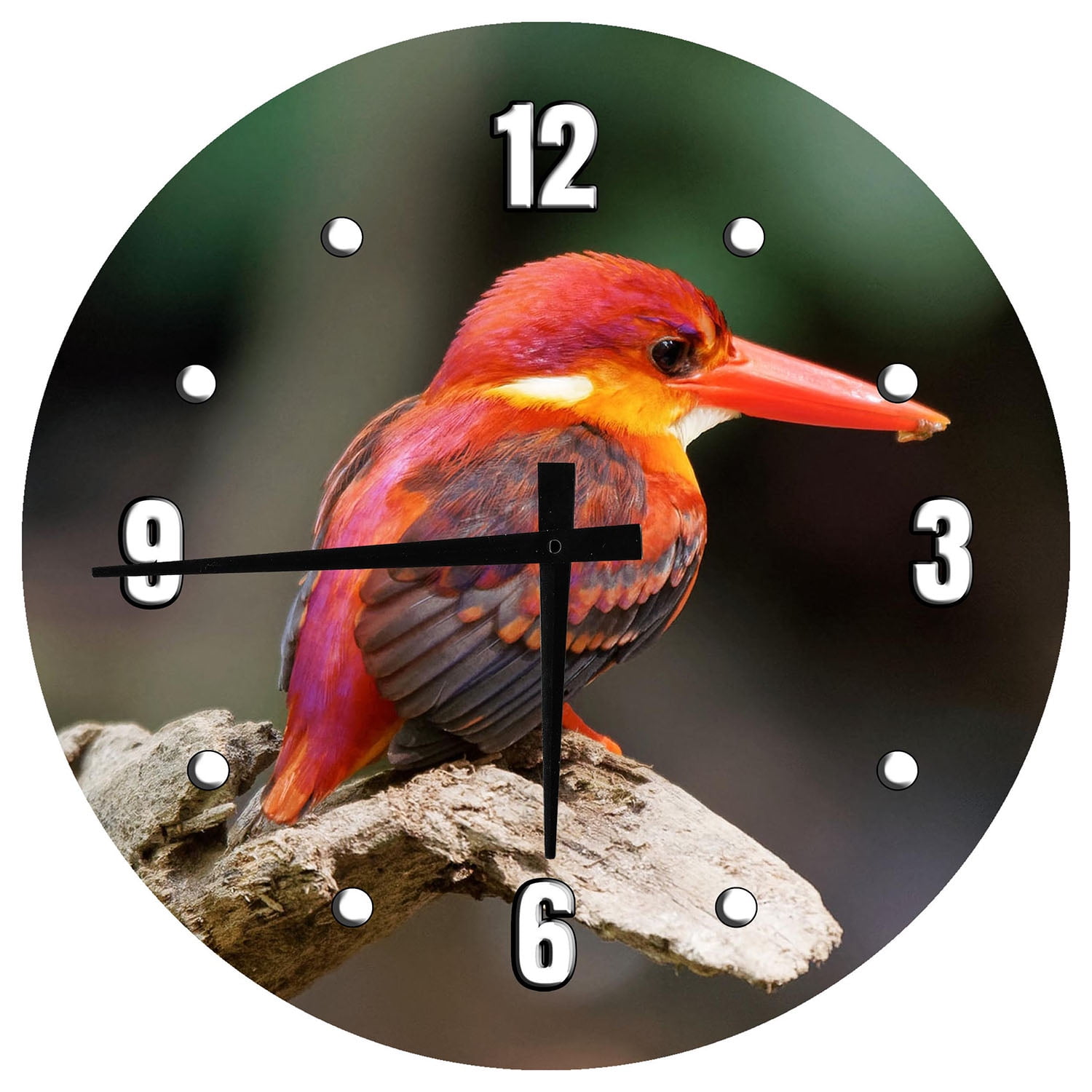 Wood Wall Clock 12 Inch Red Beak Bird Round Small Battery Operated Wall ...