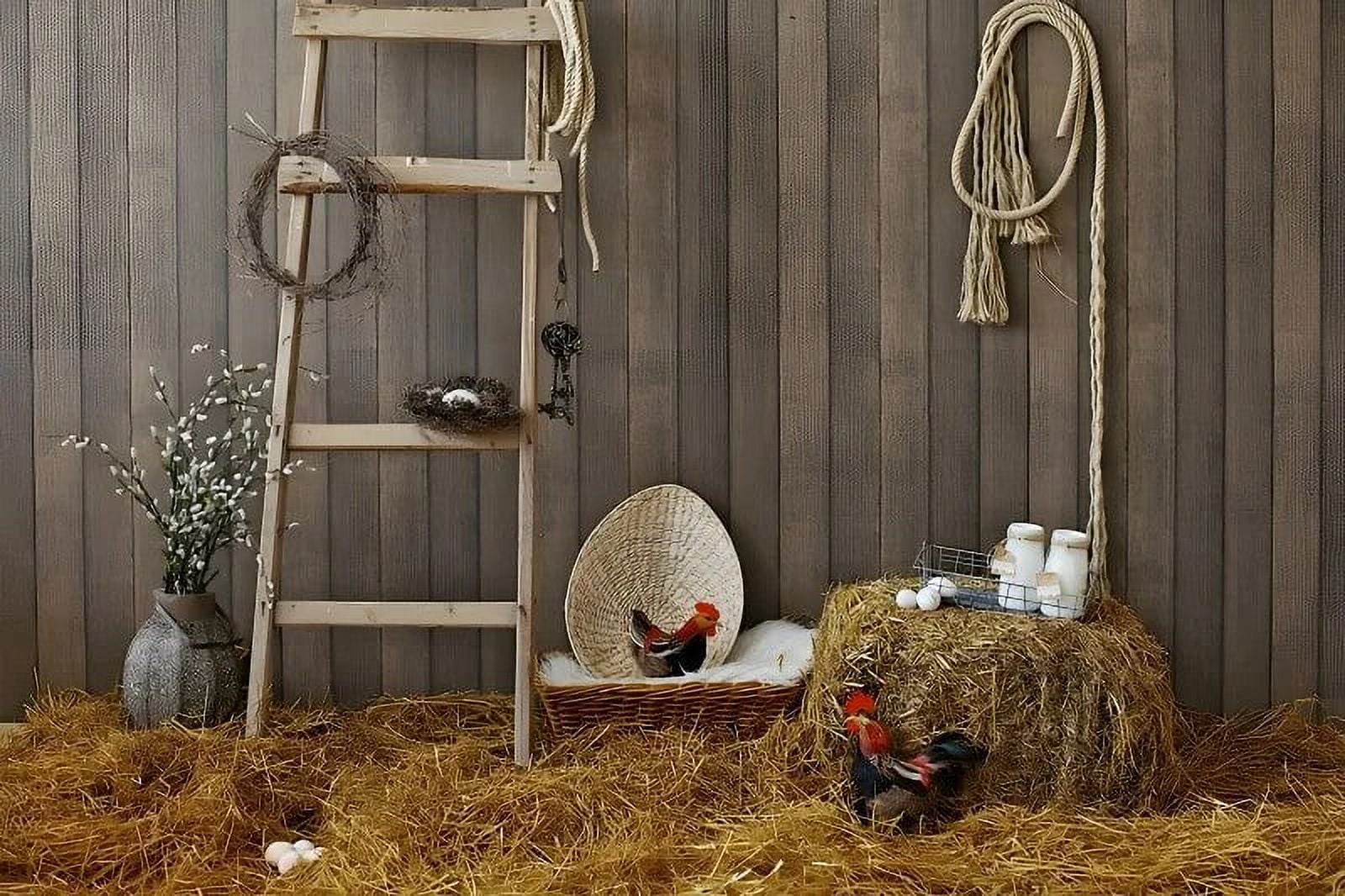 Wood Wall House Light Haystack Broken Shell Easter Eggs Rabbit ...