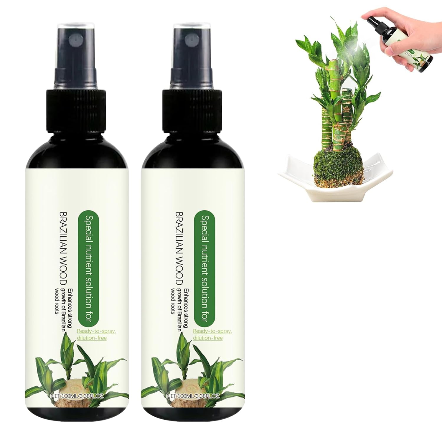 Wood and Lucky Bamboo Plant Food - Liquid for Indoor Plants - Promotes ...