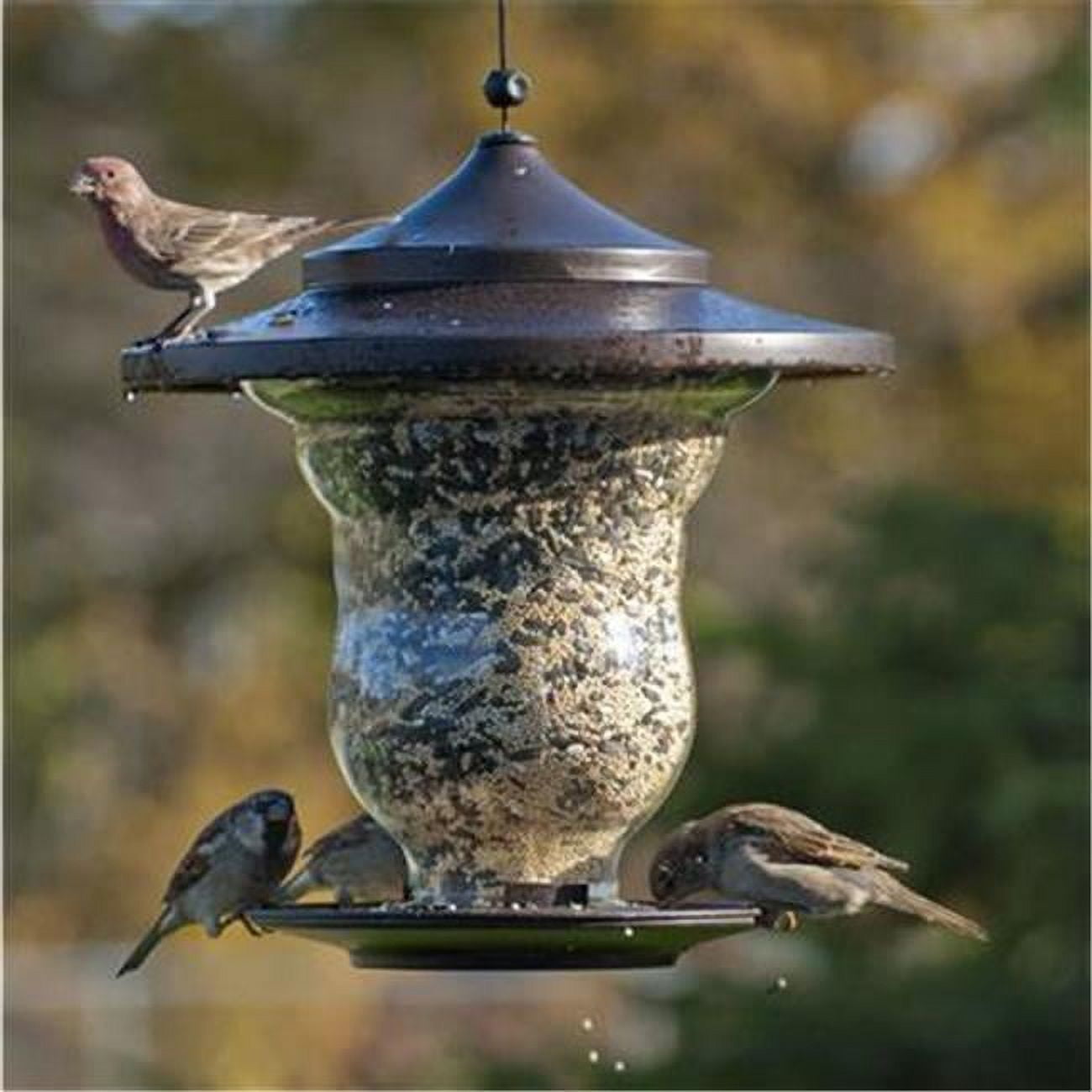 WoodLink 35177 Large Lantern Seed Feeder - Walmart.com