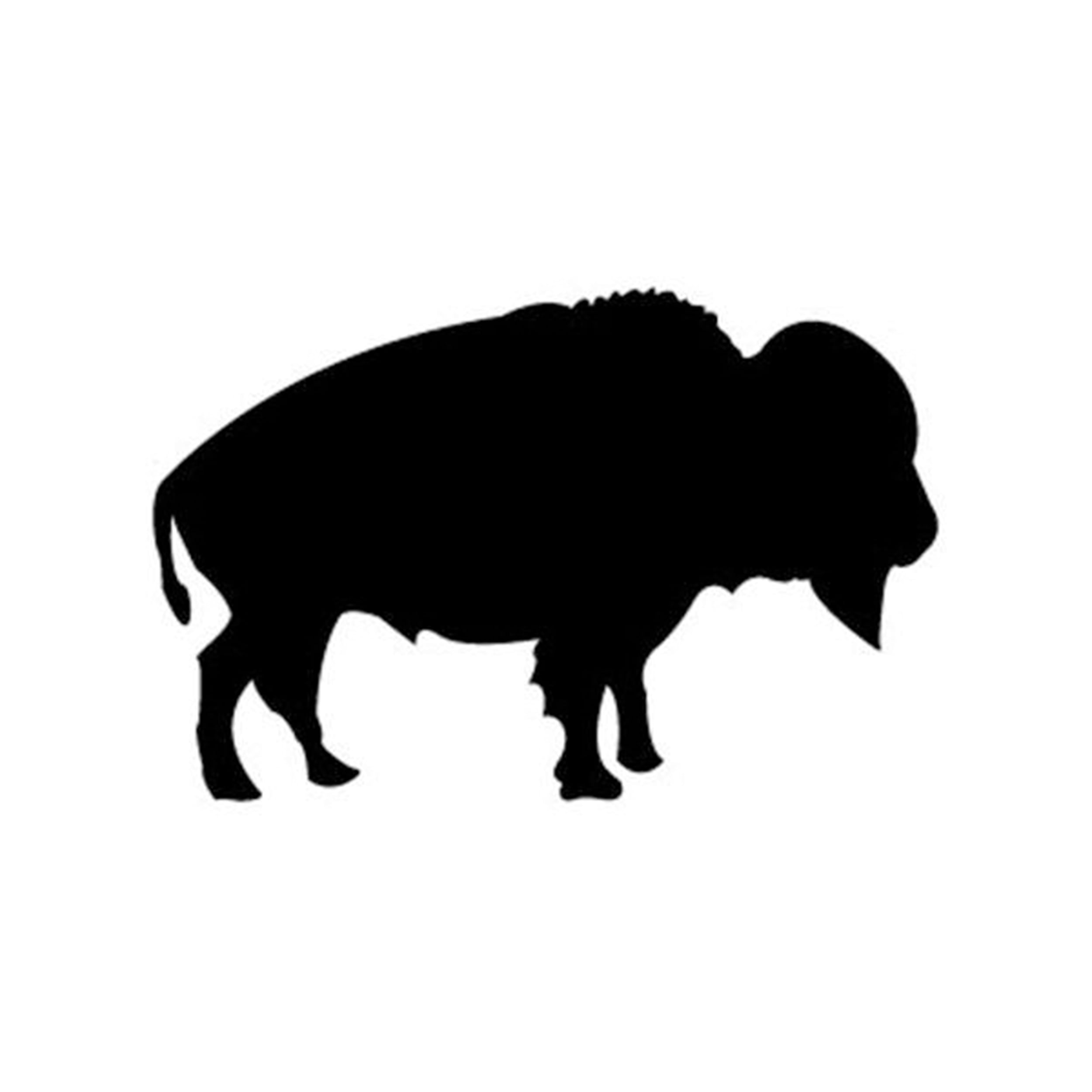 Woodcraft Project Paper Plan To Build Large Buffalo Shadow - Material ...