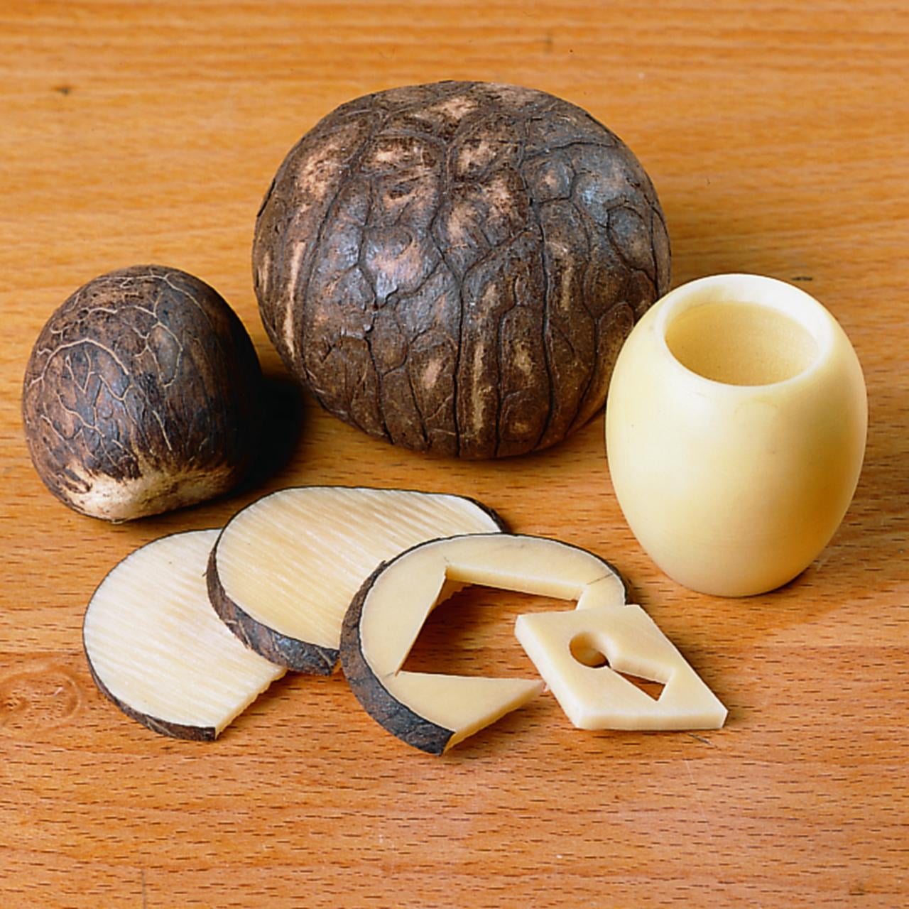Woodcraft Tagua Nuts 5-Piece - Walmart.com