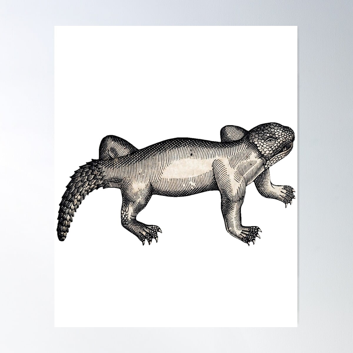 Woodcuts Bestiary - Egyptian Land Crocodile Poster Wall Art, Modern ...