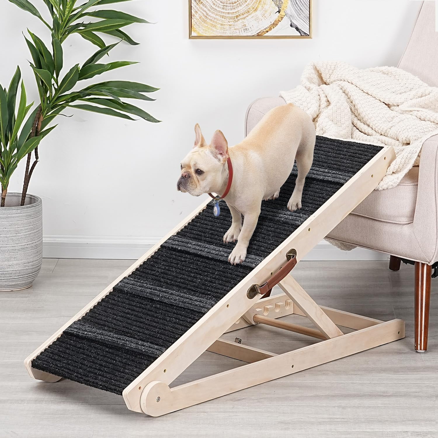 Wooden Adjustable Pet Ramp for All Dogs and Cats - Non Slip Carpet ...