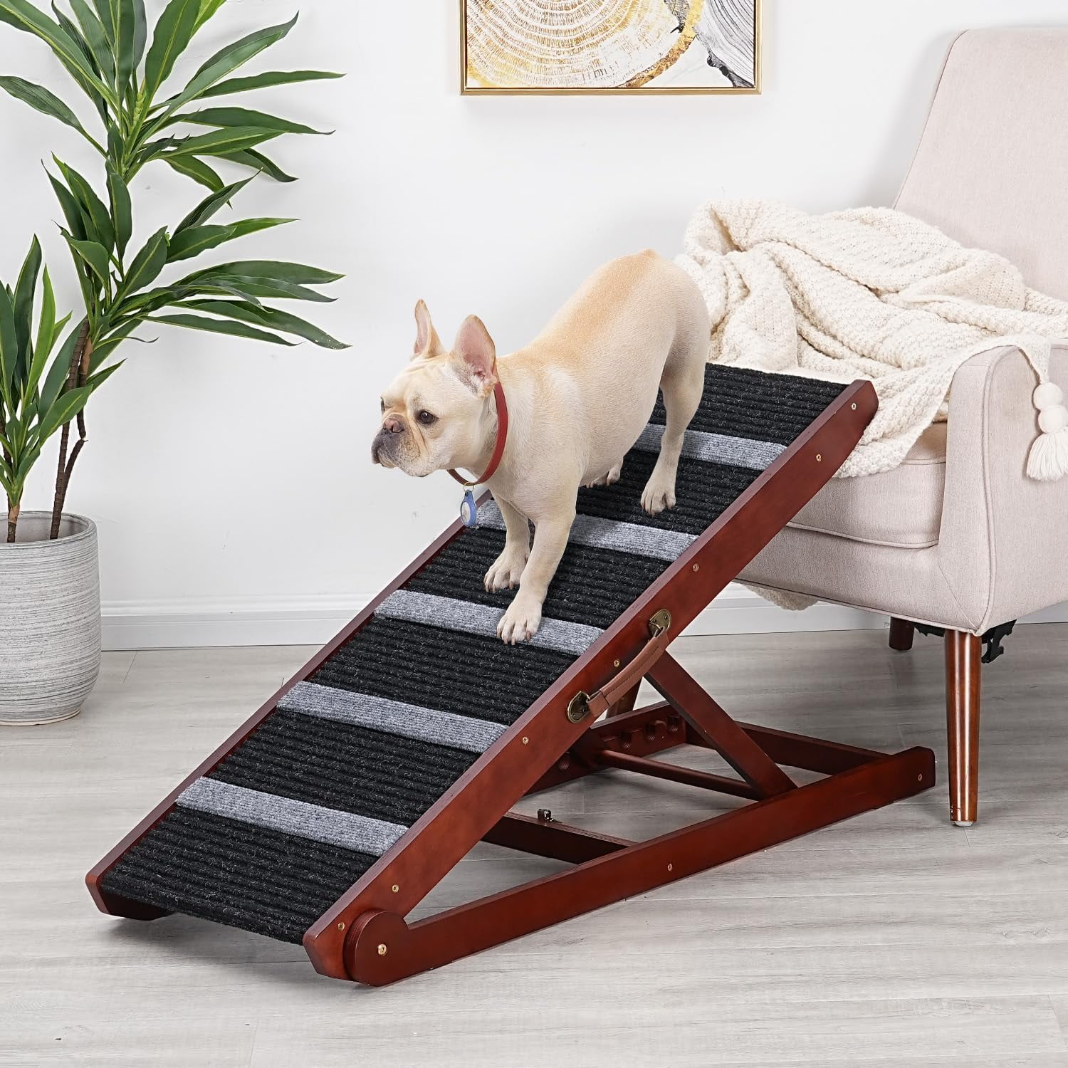 Wooden Adjustable Pet Ramp for All Dogs and Cats - Non Slip Carpet ...