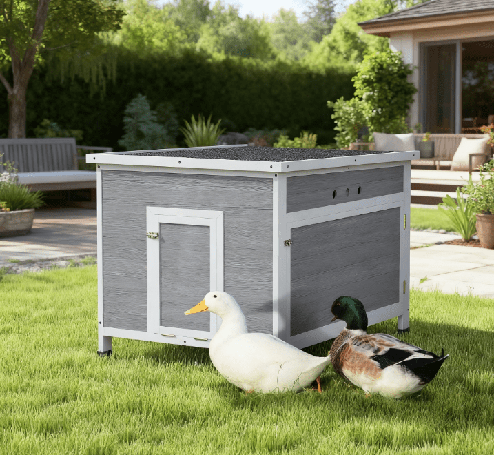 Wooden Cage with Openable Roof, Removable Floor, Double Doors, 30" x 38 ...