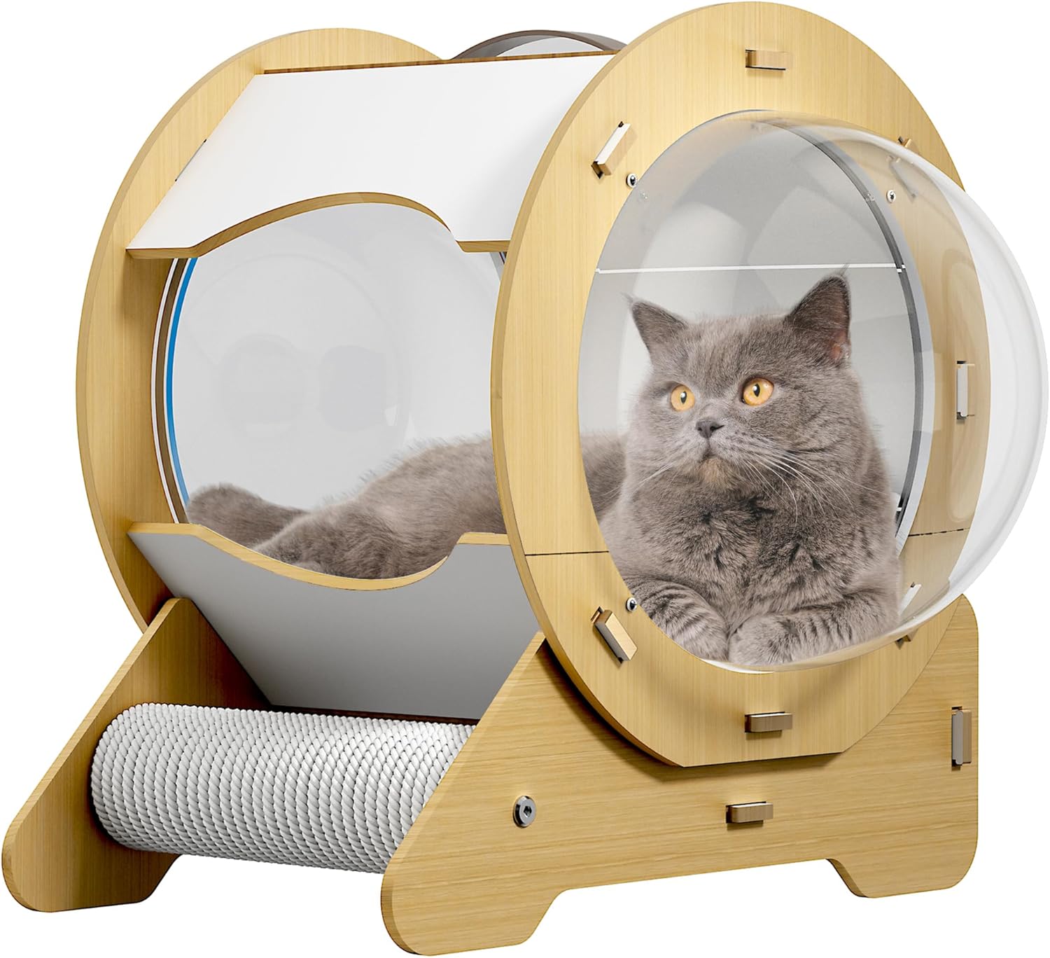 Wooden Cat Bed Capsule,Play and Rest 2 in 1 Glass Cats House, Acrylic ...