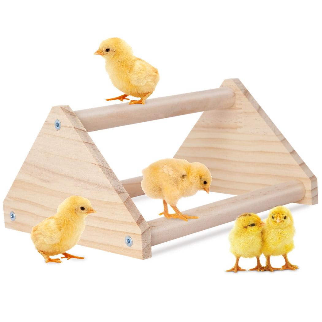 Wooden Chick Perch, Chick Stand Training Perch, Wood Chicken Roosting ...