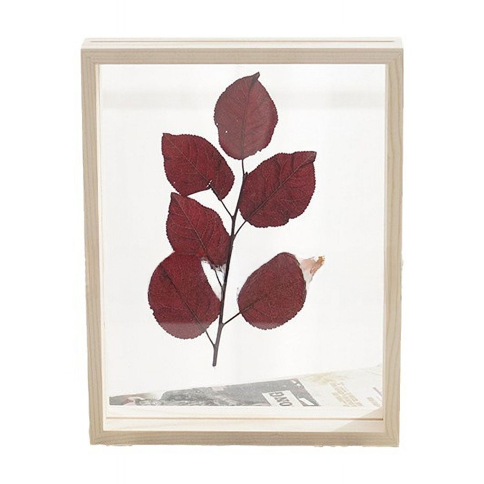 Wooden Creative Double-Sided Glass Plant Specimen Photo Frame Log Color ...