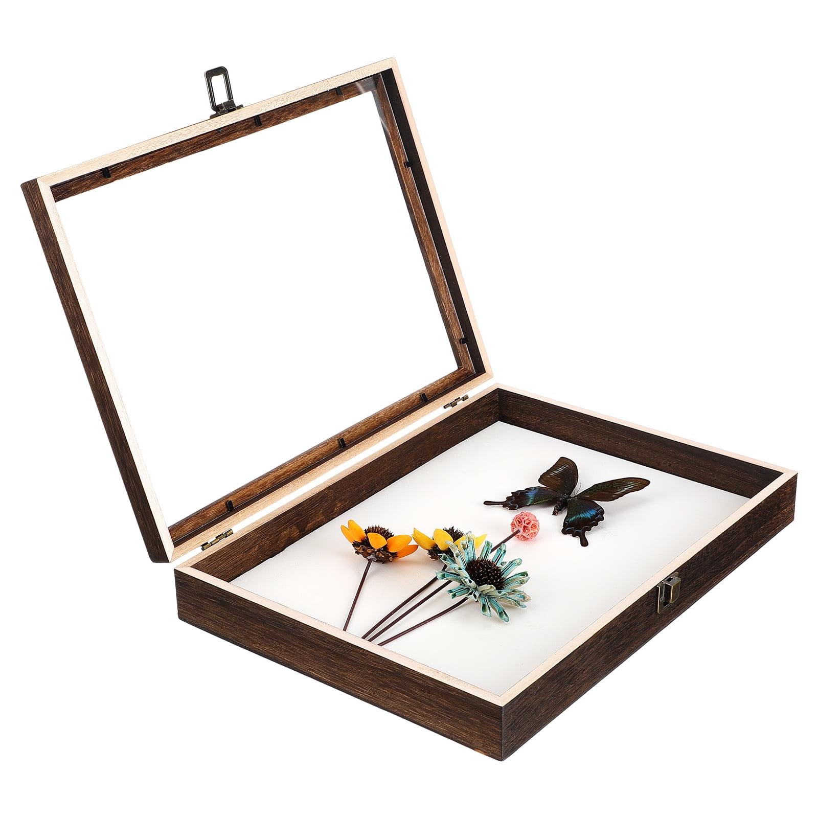 Wooden Display Box Specimen Box Butterflies Specimen Display Box ...