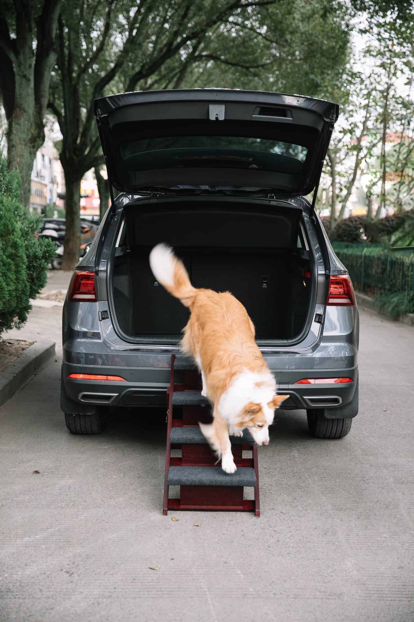 Wooden Dog Stairs/Steps - Foldable 4 Levels Pet Stairs & Ramp Perfect ...