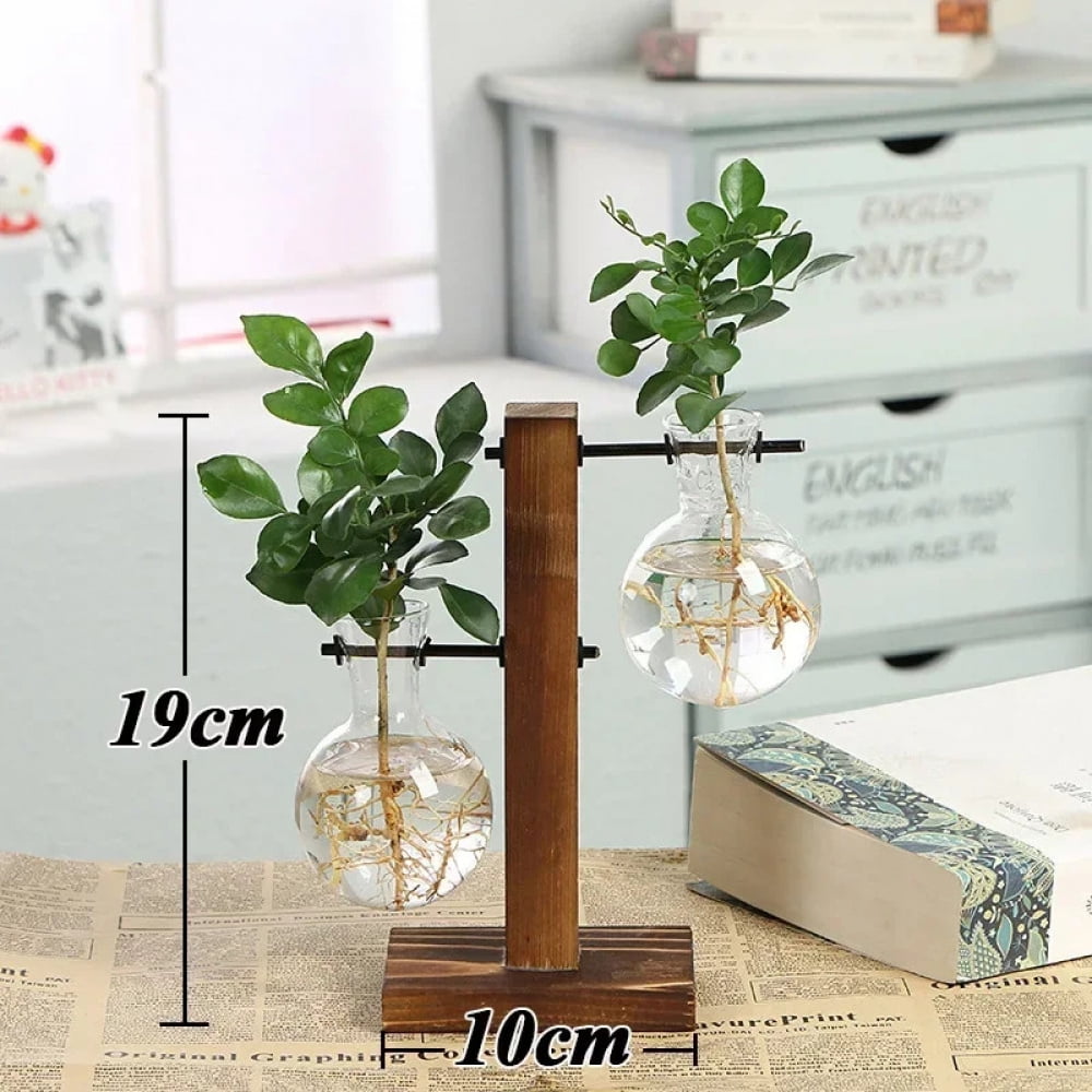 Wooden Frame Tabletop Vase Set Multi-Purpose Bonsai Planter Hydroponic ...