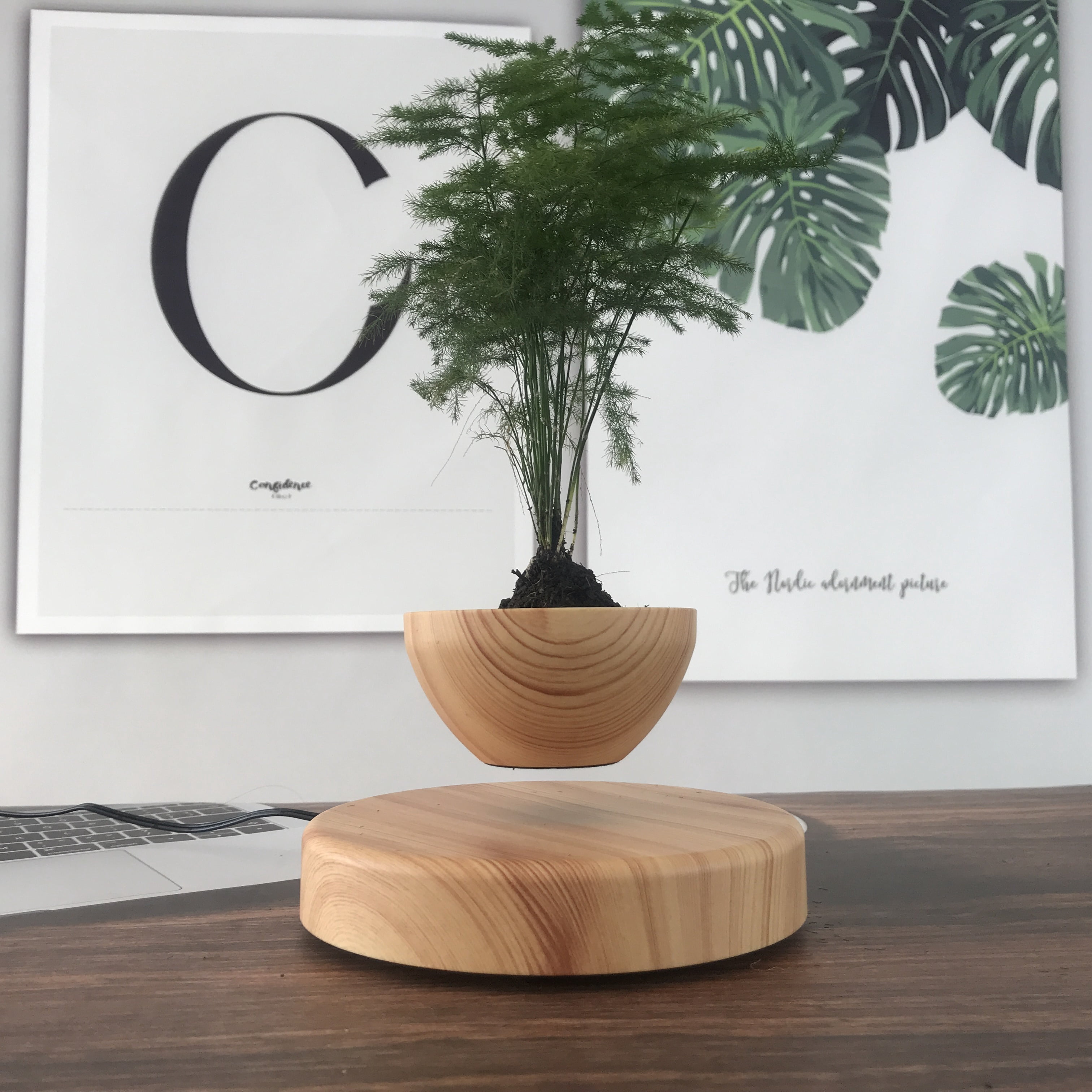Wooden Grain Magnetic Floating Levitating Indoor Flower Pot Plant Pot ...