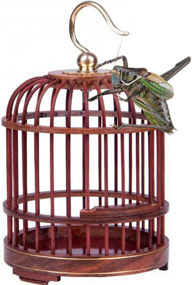 Wooden Grasshopper Cage Insect House - Insect Storage Cage Grasshopper ...