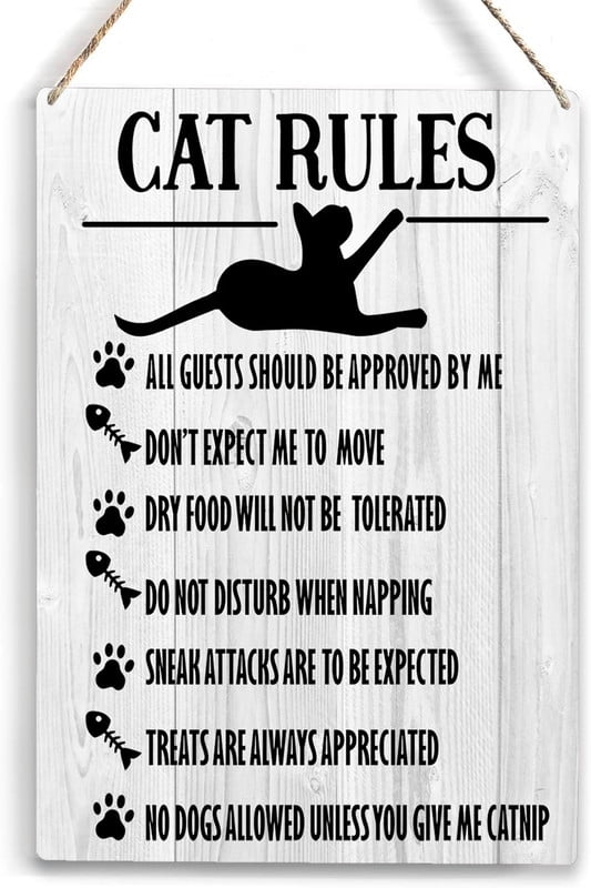 Wooden Hanging Sign Cat Rules, Cat Funny Home Wooden Door Sign Rustic ...