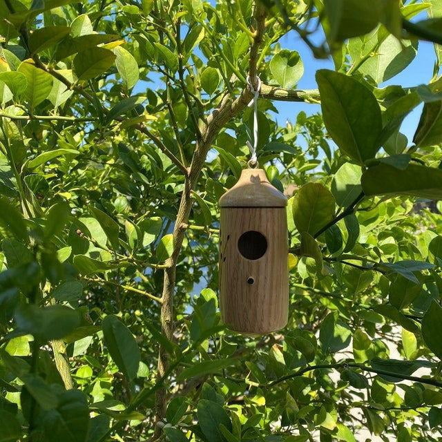 Wooden Hummingbird House - Mini Acorn Shaped Birdhouse for Garden, 4.72 ...