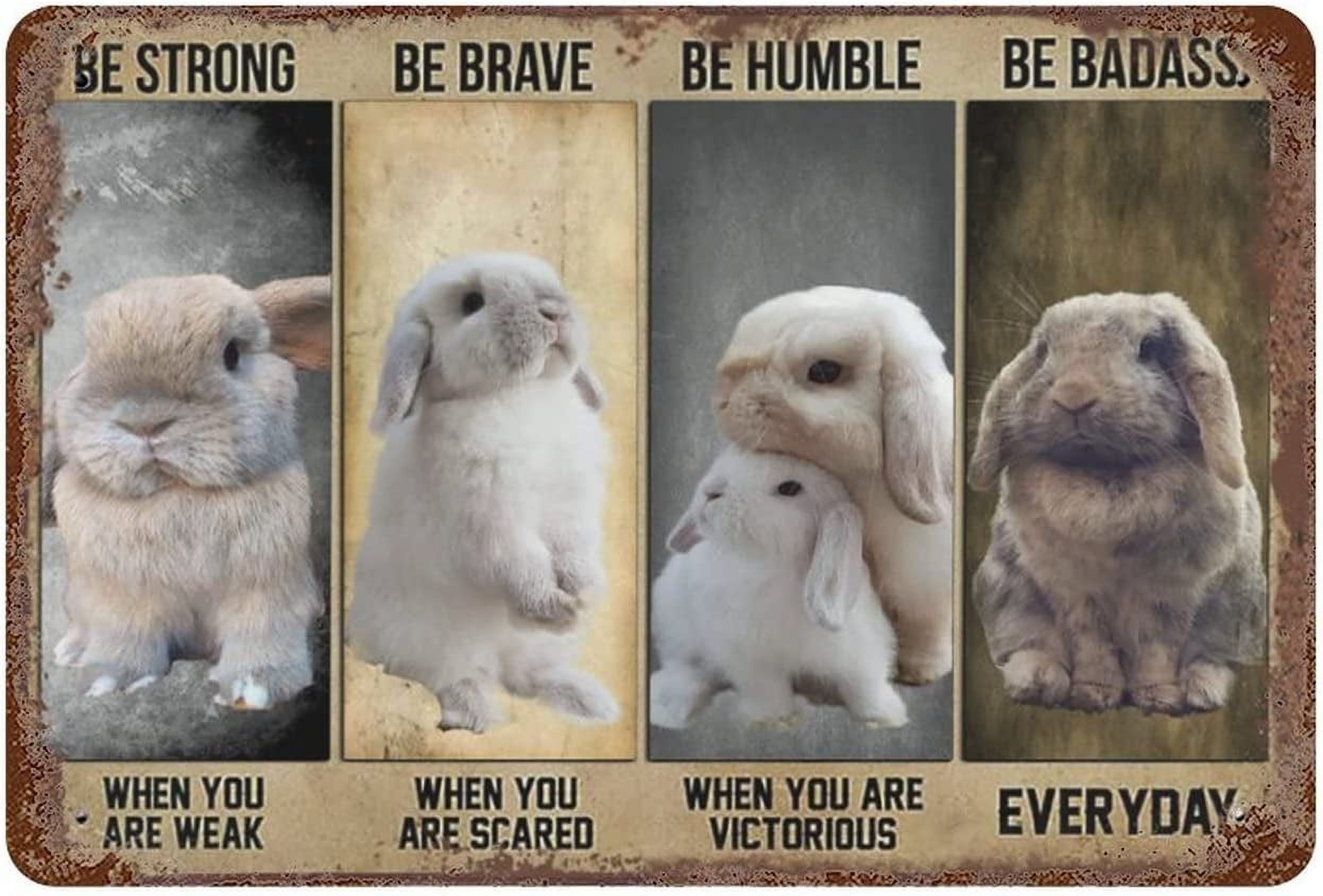 Wooden Jigsaw Puzzle Bunny Rabbit,Motivational Quote Educational Toys ...