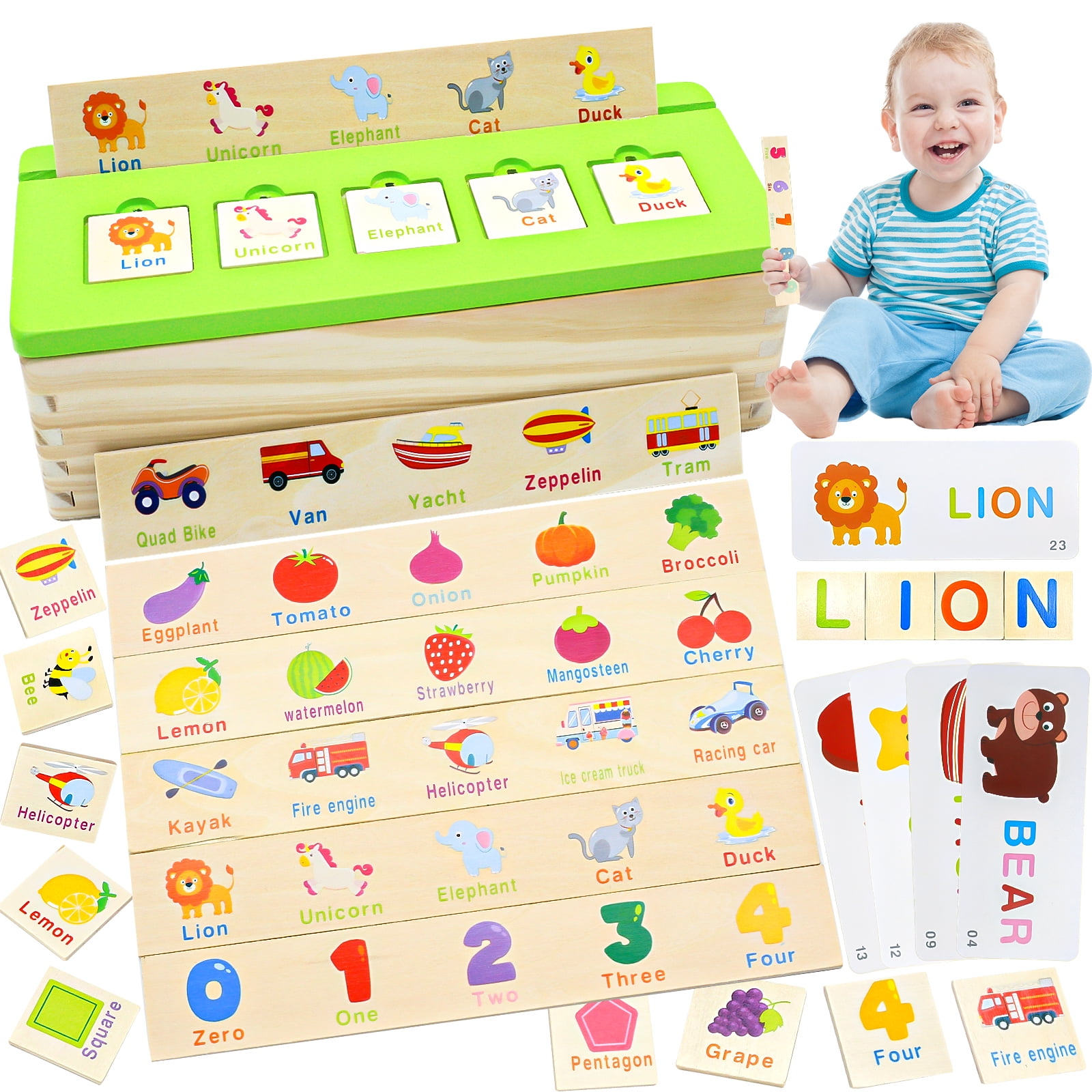 Wooden Knowledge Classification Box – Educational Early Learning Toy for Kids, Hand-Brain ...