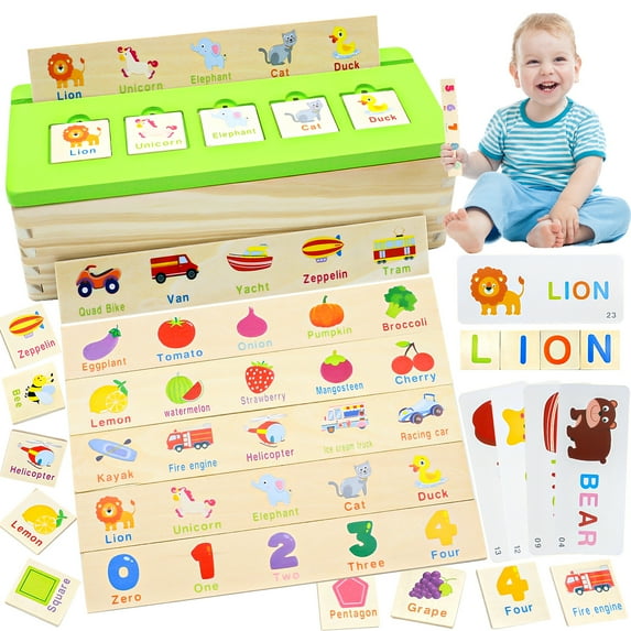 Wooden Knowledge Classification Box – Educational Early Learning Toy ...