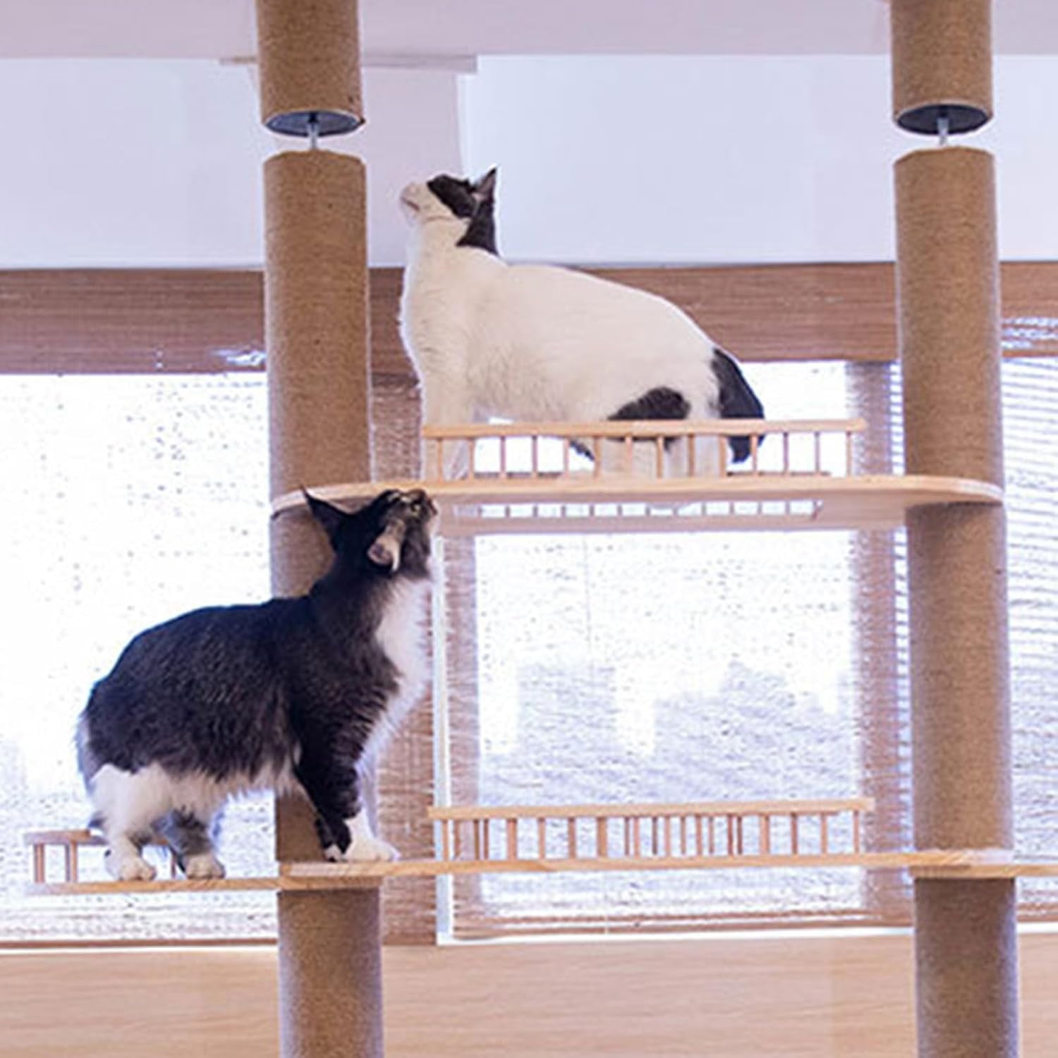 Wooden Large Perch for DIY Cat Tower, Floor to Ceiling Cat Tree ...