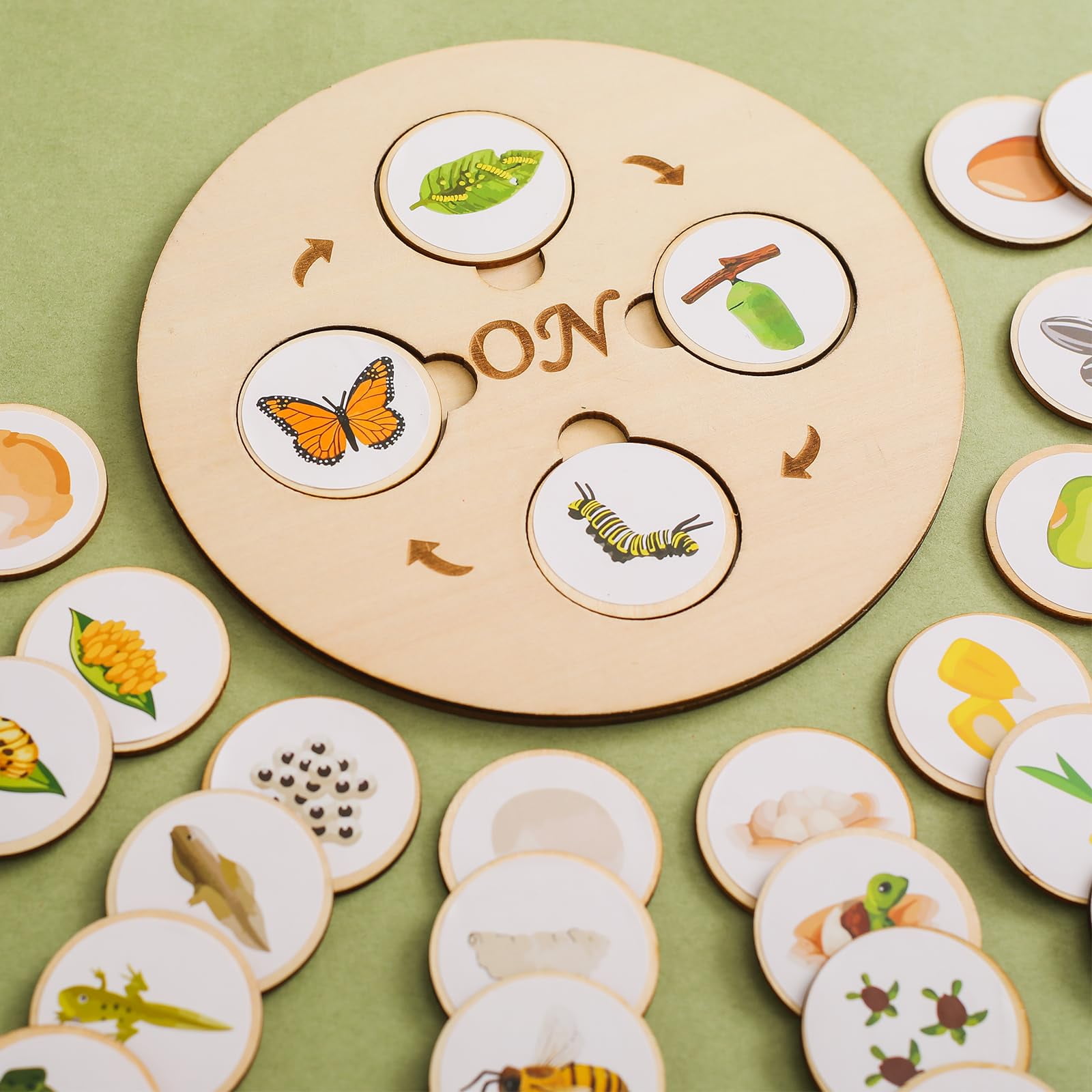 Wooden Life Cycle Toys STF9 Tray Frogs for Kids, Chickens, 40 Pieces ...