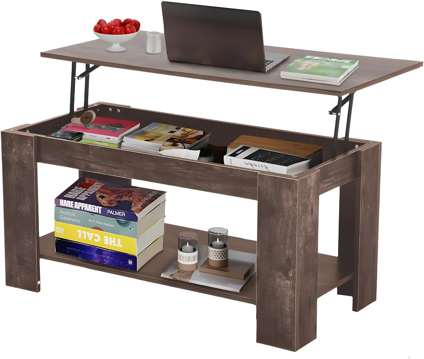 Wooden Lift Top Coffee Table Furniture with Storage Shelf and Hidden ...