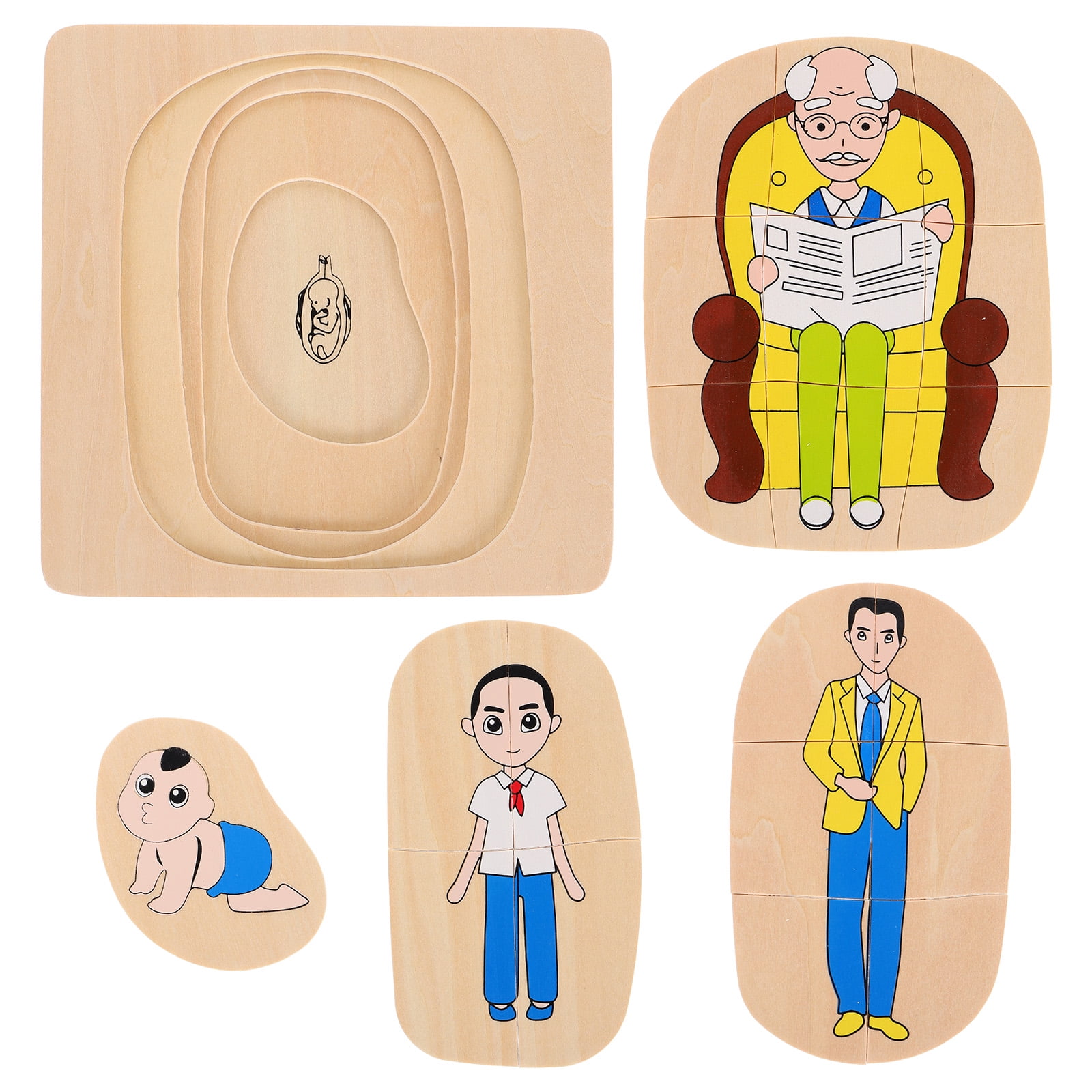 Wooden Multi-Layered Puzzles Human Jigsaw Puzzle Life Cycle Learning ...