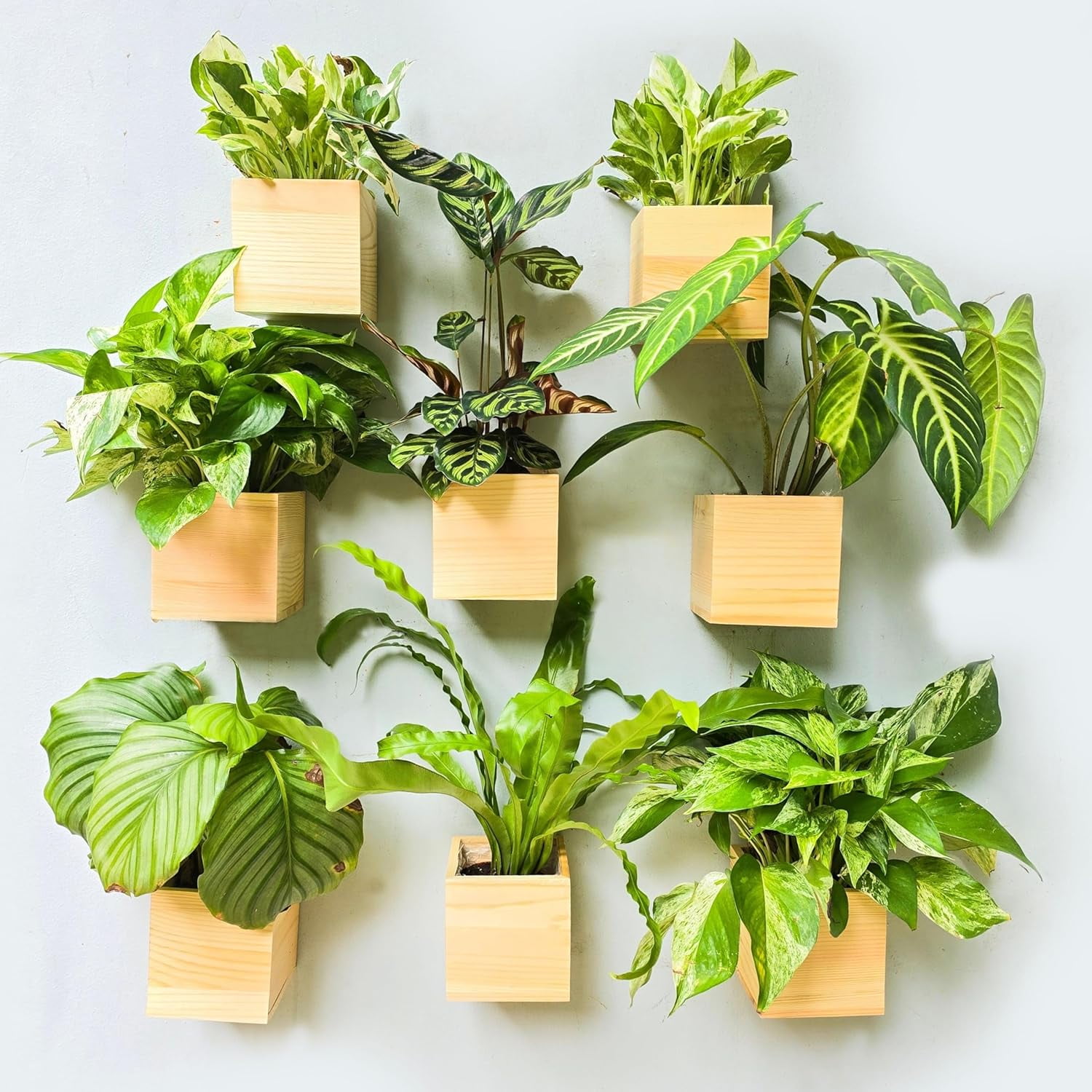 Wooden Planter Box for Plants (8 Pack, 4x4 Inch) Small Square Wall ...