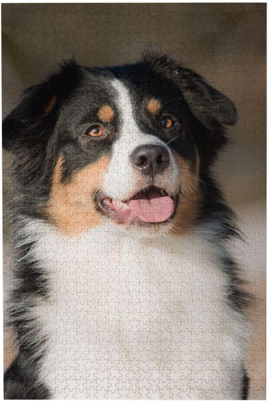 Wooden Puzzle 500 Pieces for Adults Australian Shepherd Suitable for ...