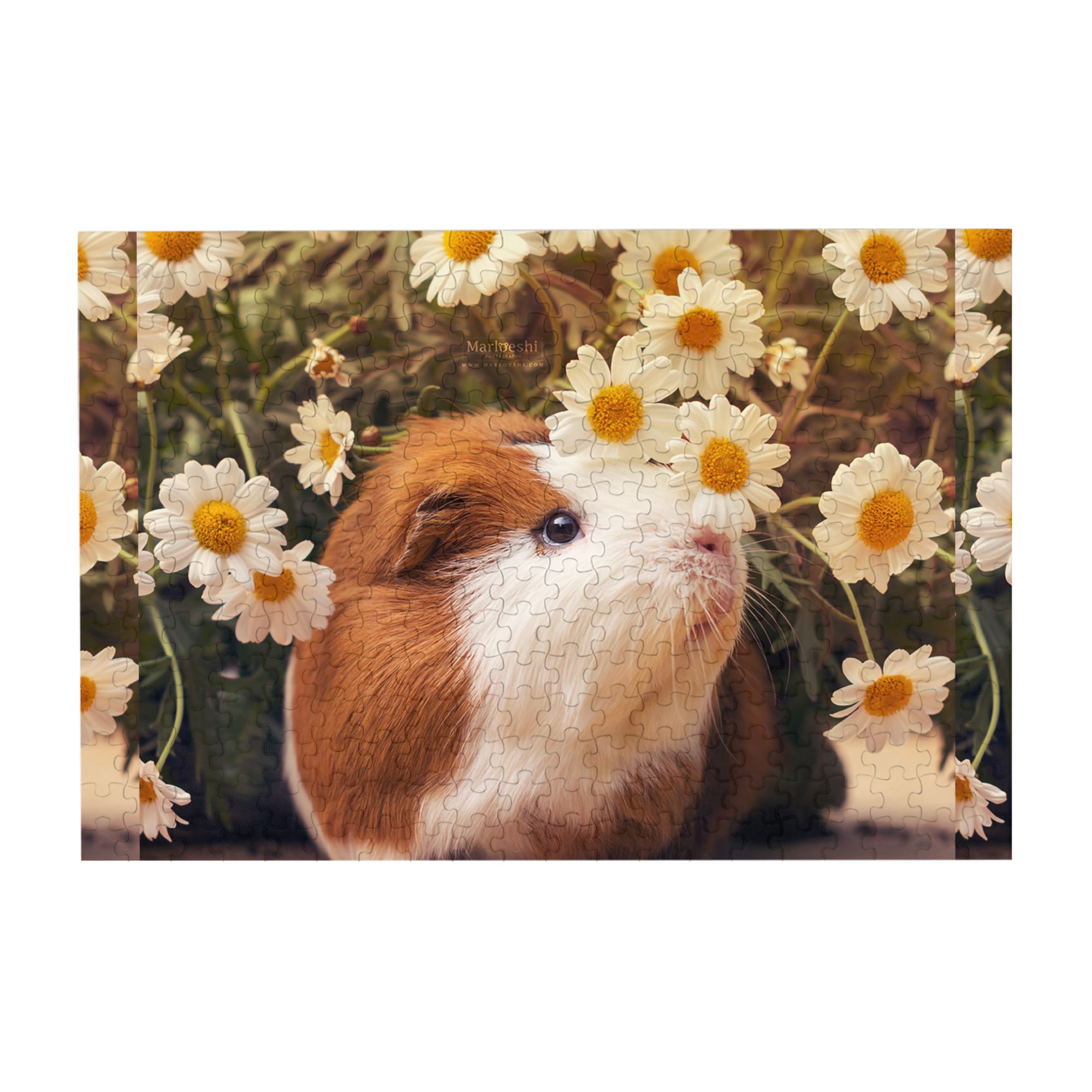 Wooden Puzzle Guinea Pigs Flowers Print 300-Slice Puzzle for All Ages ...