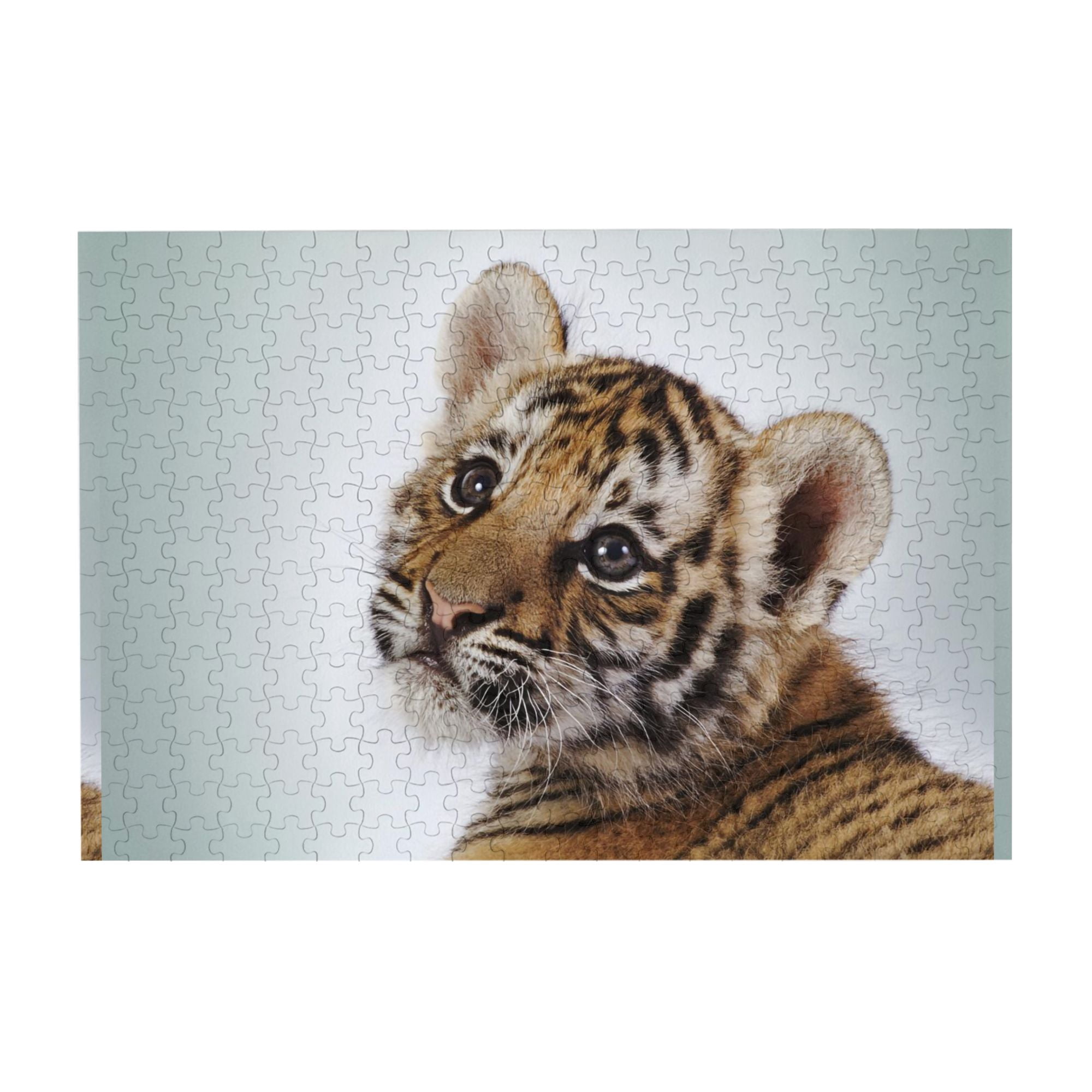 Wooden Puzzle Tiger Kitten Big Cat Cub Predator 500-Slice Puzzle for ...