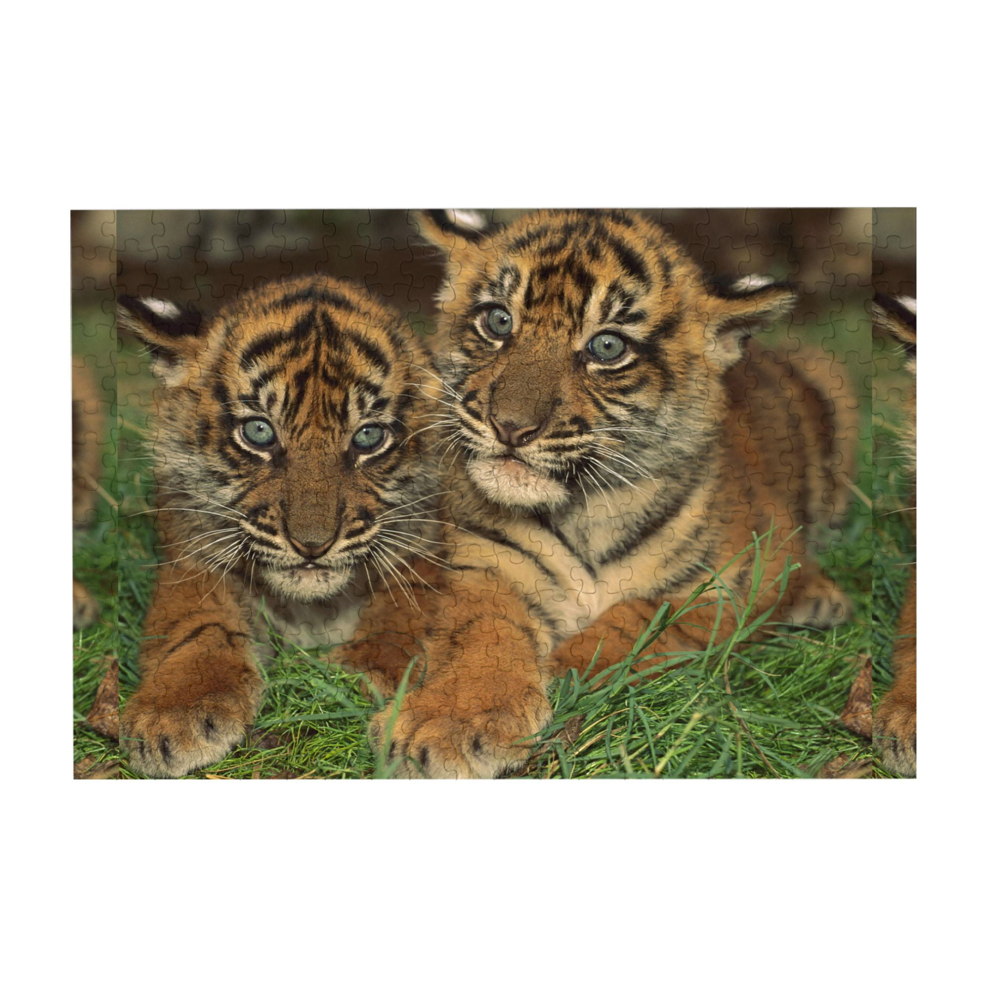 Wooden Puzzle Tigers Cubs Big Cat Predato 300-Slice Puzzle for All Ages ...