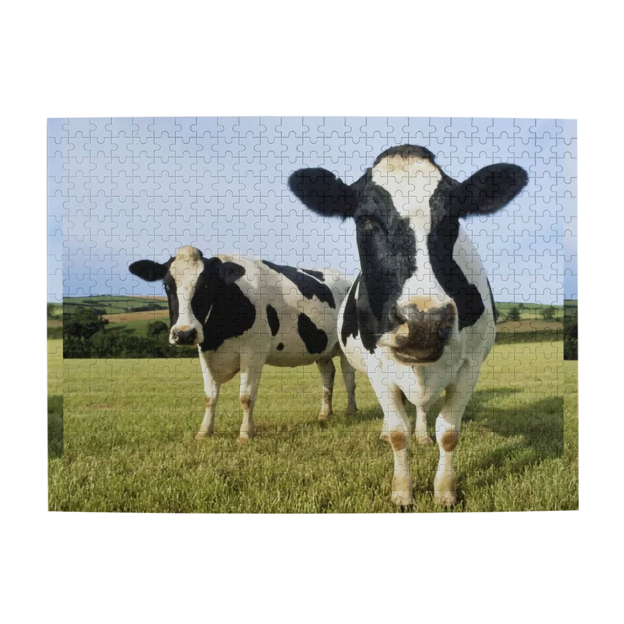 Wooden Puzzle Two Holstein Cows Standing In Grass Farm 500-Slice Puzzle ...