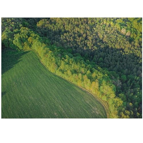 Wooden Puzzles Graffiti Style Colorful Bubble Style Ordered Alphabet ...