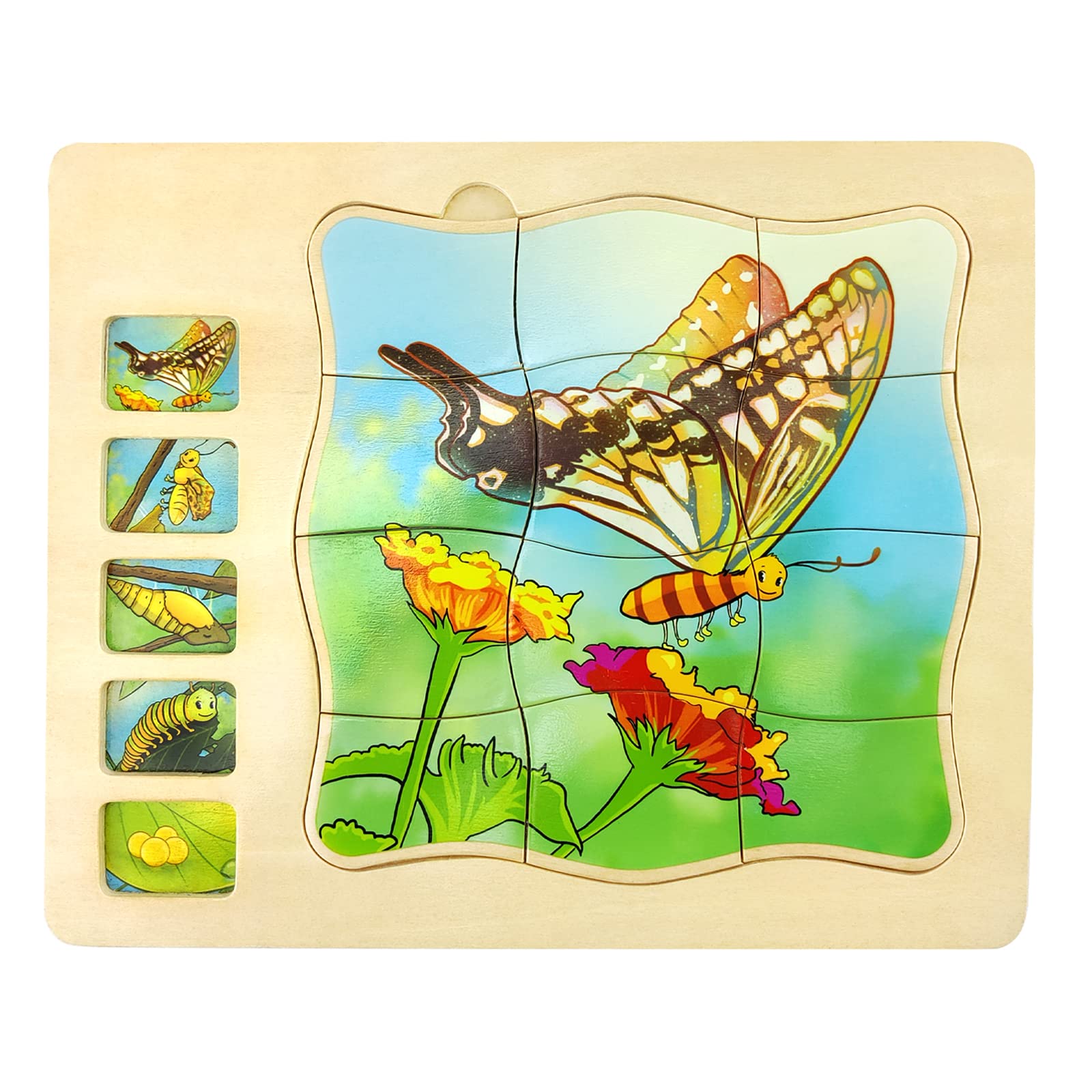Wooden Puzzles for Kids AIF4 Ages 4-8, 5 Layers Life Cycle of a ...