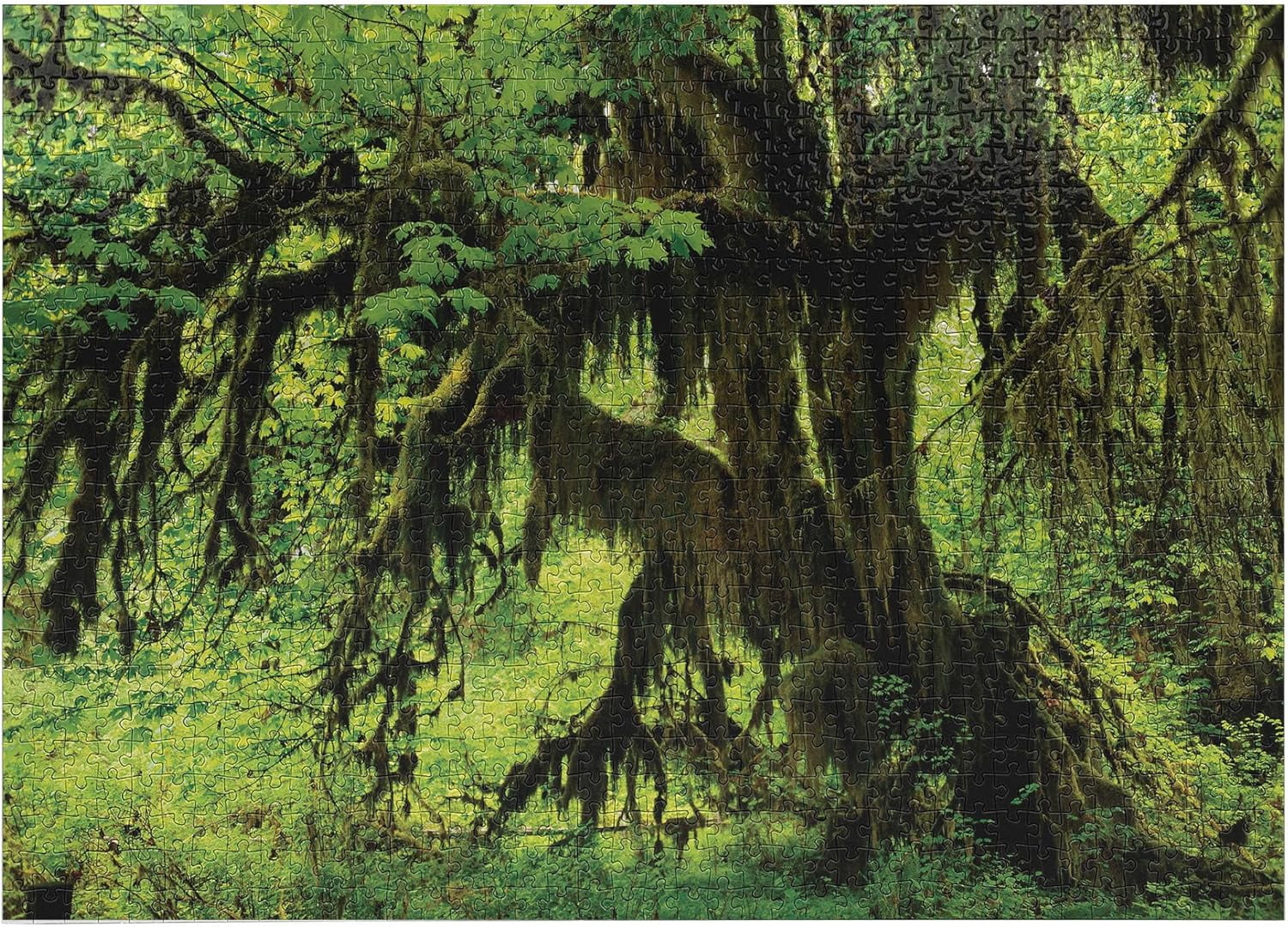 Wooden Puzzles Tree with Moss in The Jungle Natural Life Feng Shui ...