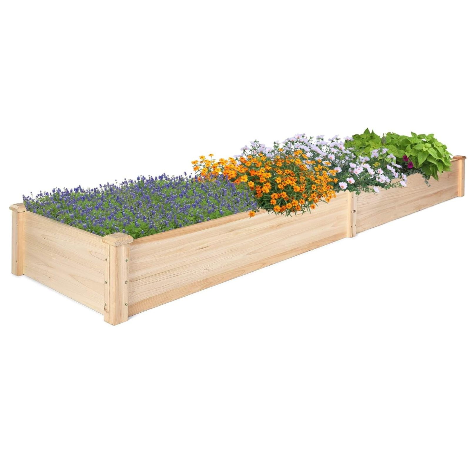 Wooden Raised Garden Bed 8×2 ft Outdoor Garden Box for Vegetable Flower ...