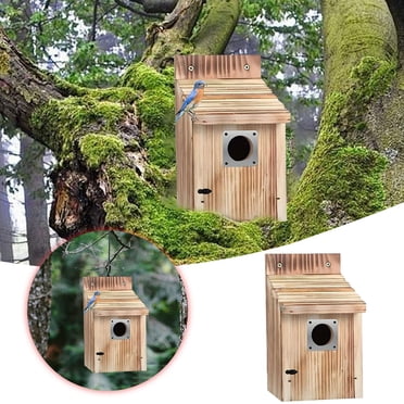 Kingsyard Wooden Bird House with Predator Guard, Wren Bird Nesting for ...