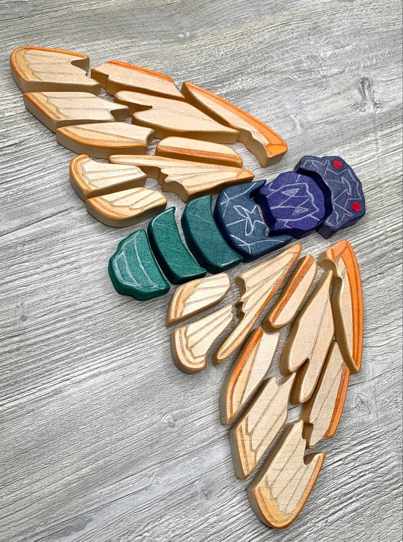Cicada Puzzle