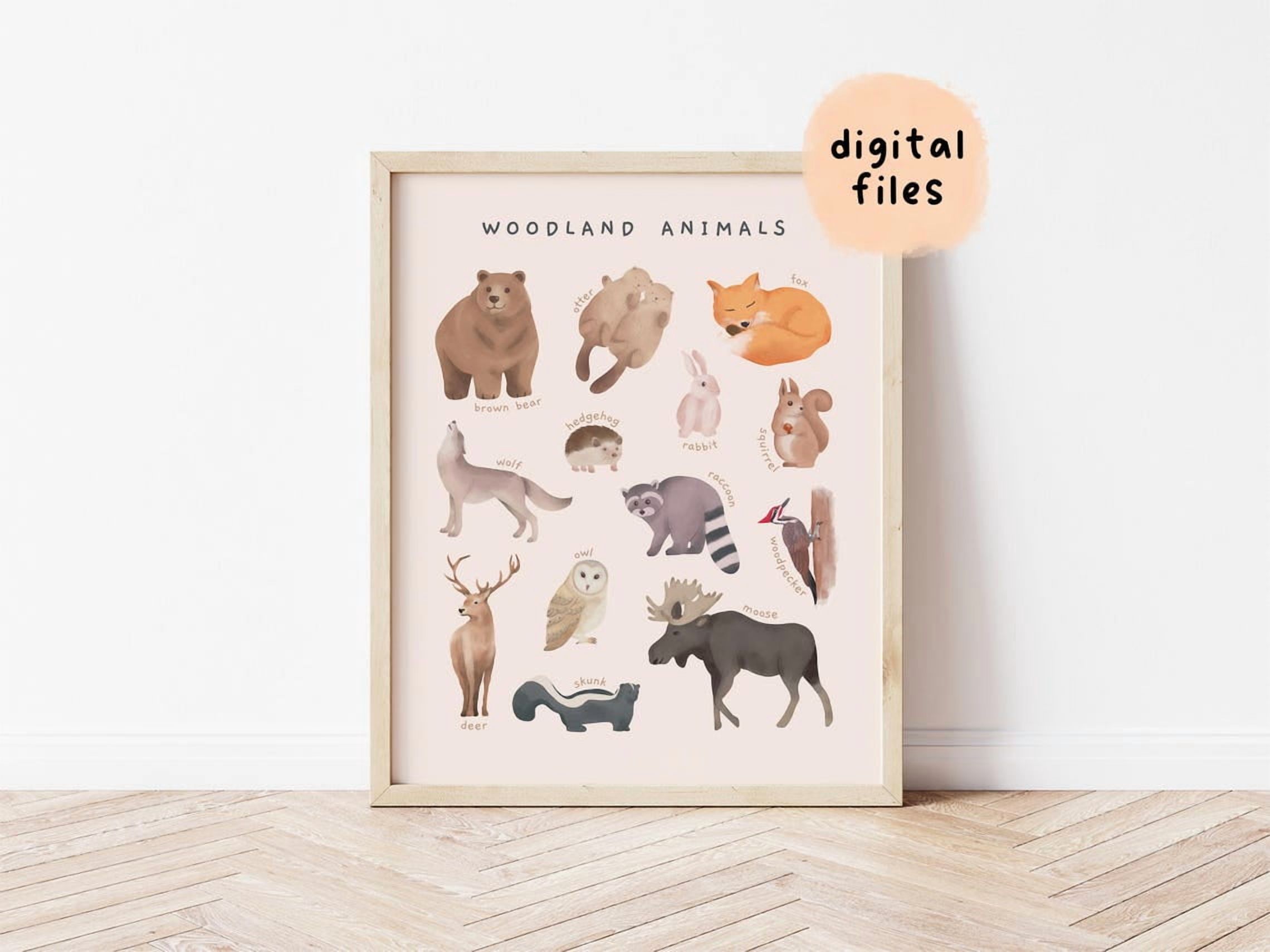 Woodland Animals Educational Poster, Earth Tone Montessori Homeschool ...
