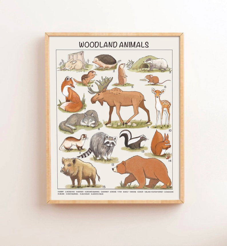 Woodland Animals Educational Poster Montessori Nursery Preschool Kids ...