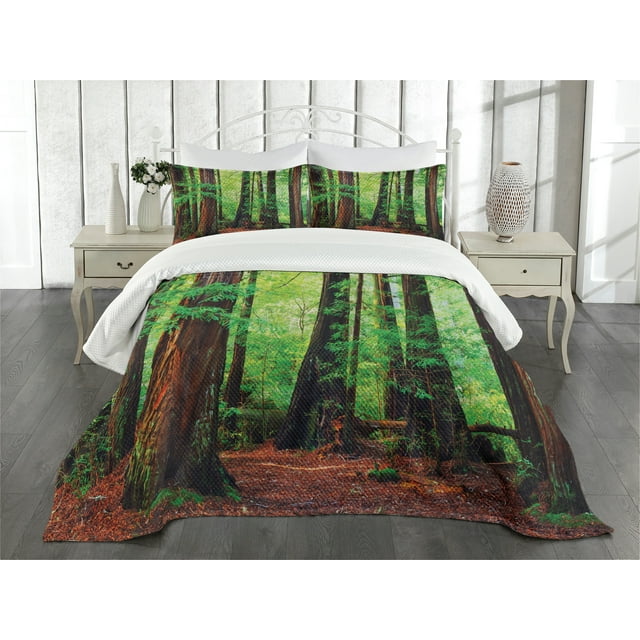 Woodland Bedspread Set, Redwood Trees Northwest Rain Forest Tropical ...