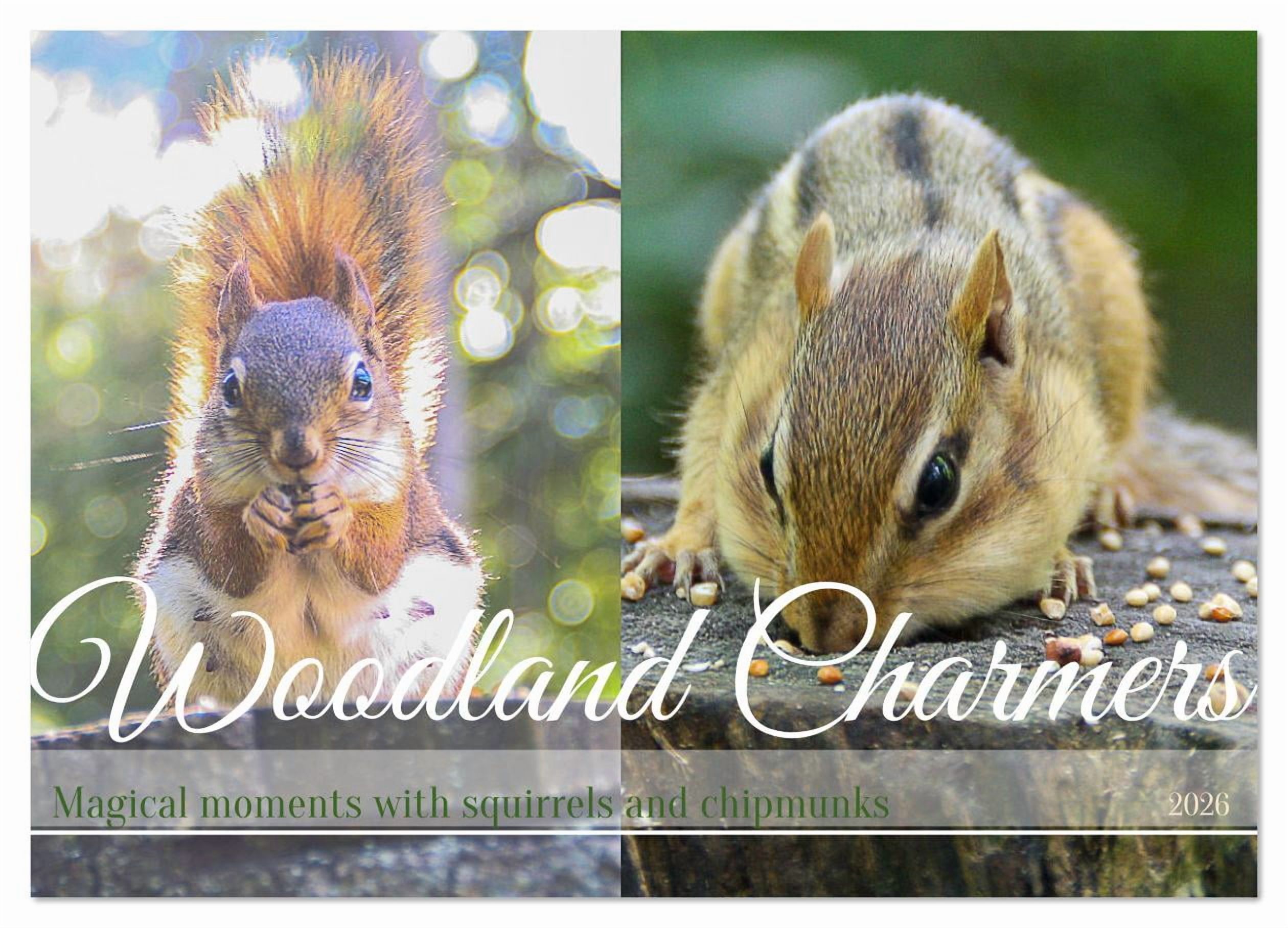 Woodland Charmers - Magical Moments with Squirrels and Chipmunks ...