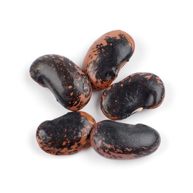 Woodland Foods 051452 Scarlet Runner Beans, 25 Pound Bag - Walmart.com