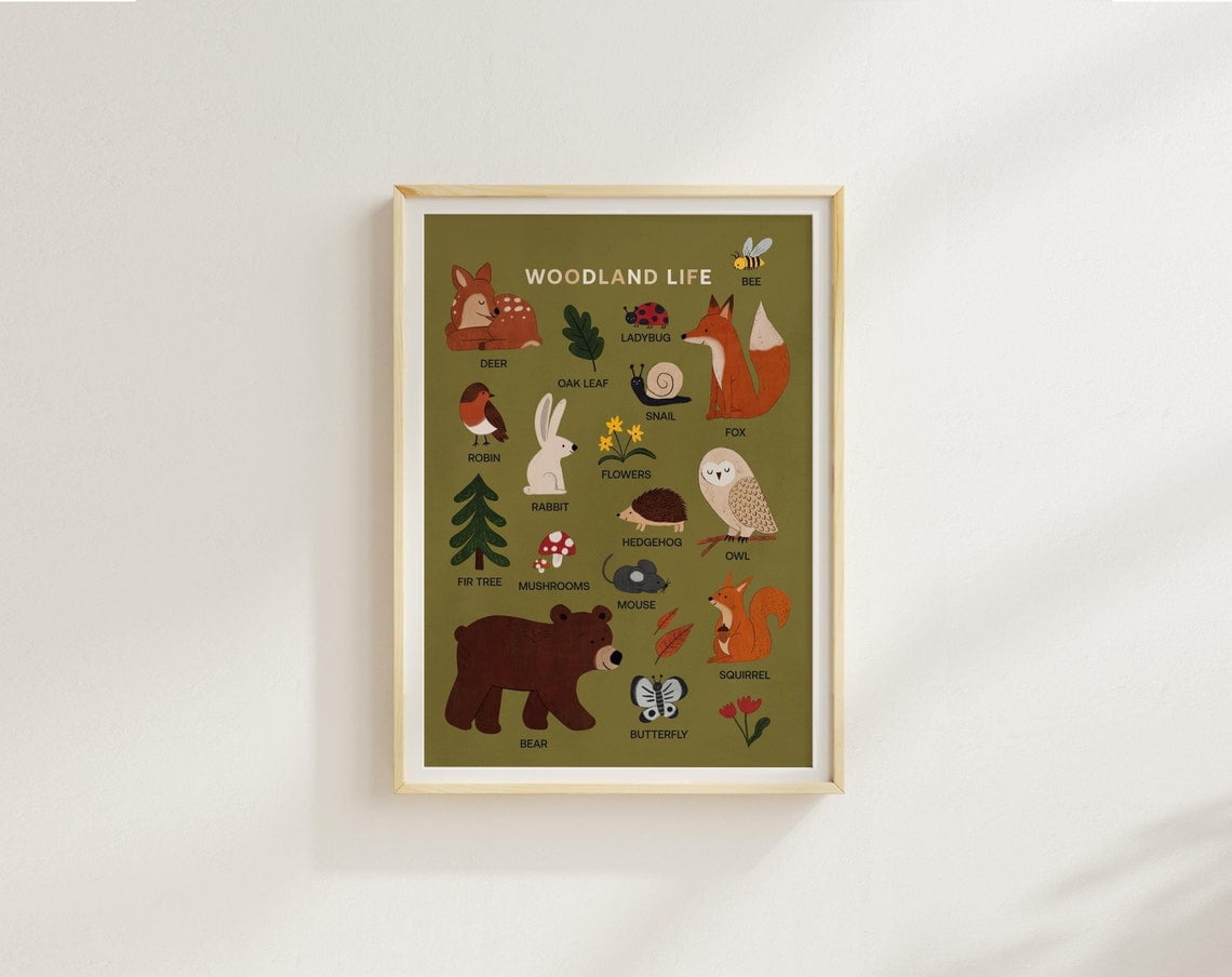 Woodland Life Poster - Fun & Educational Forest Wall Art, Cute Kids ...