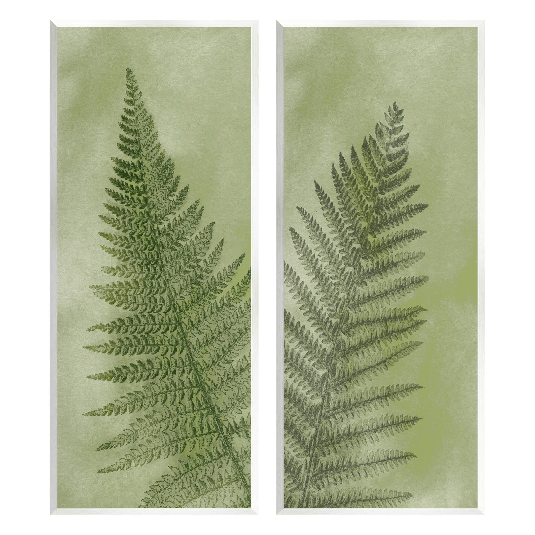 Stupell Industries Woodland Nature Fern Leaves Art Print Set of 2 Ready ...