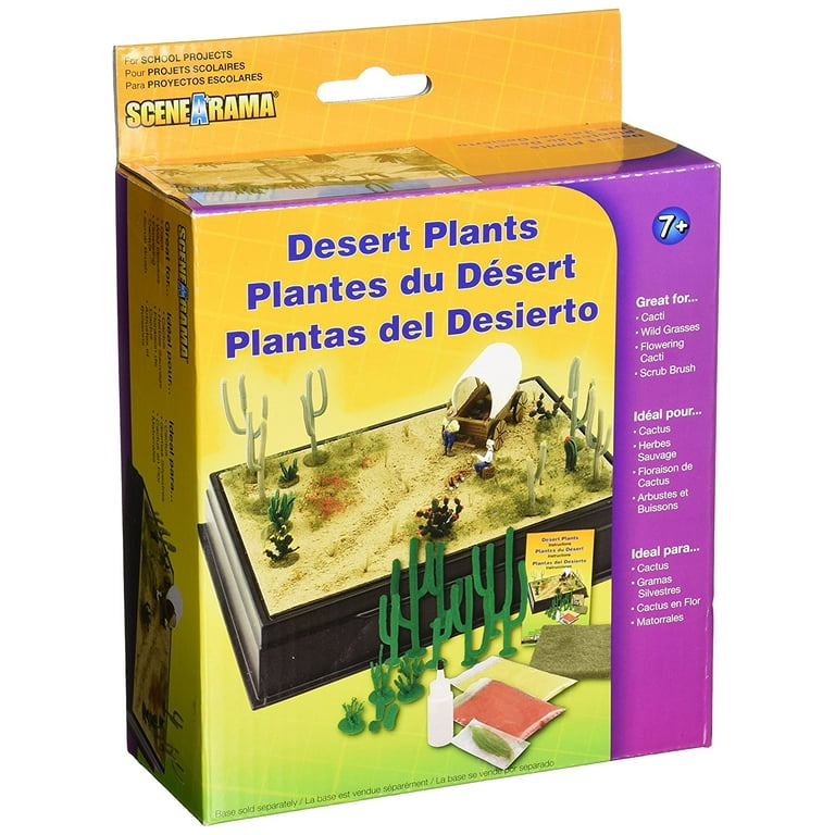 Desert Ecosystem Diorama
