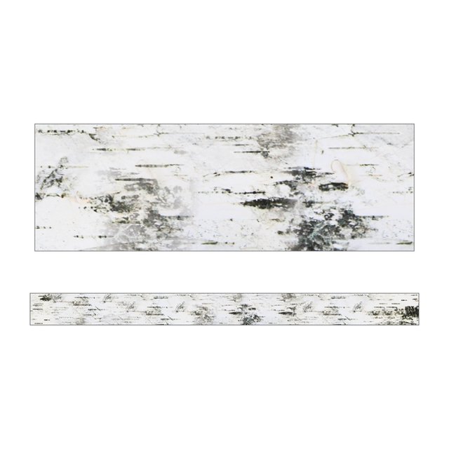 Woodland Whimsy Birch Tree Straight Bulletin Board Borders (Other ...