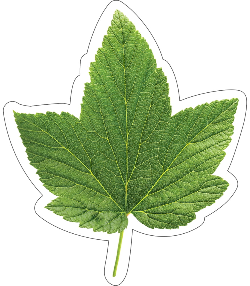 Woodland Whimsy Green Leaf Cutouts (Other) - Walmart.com