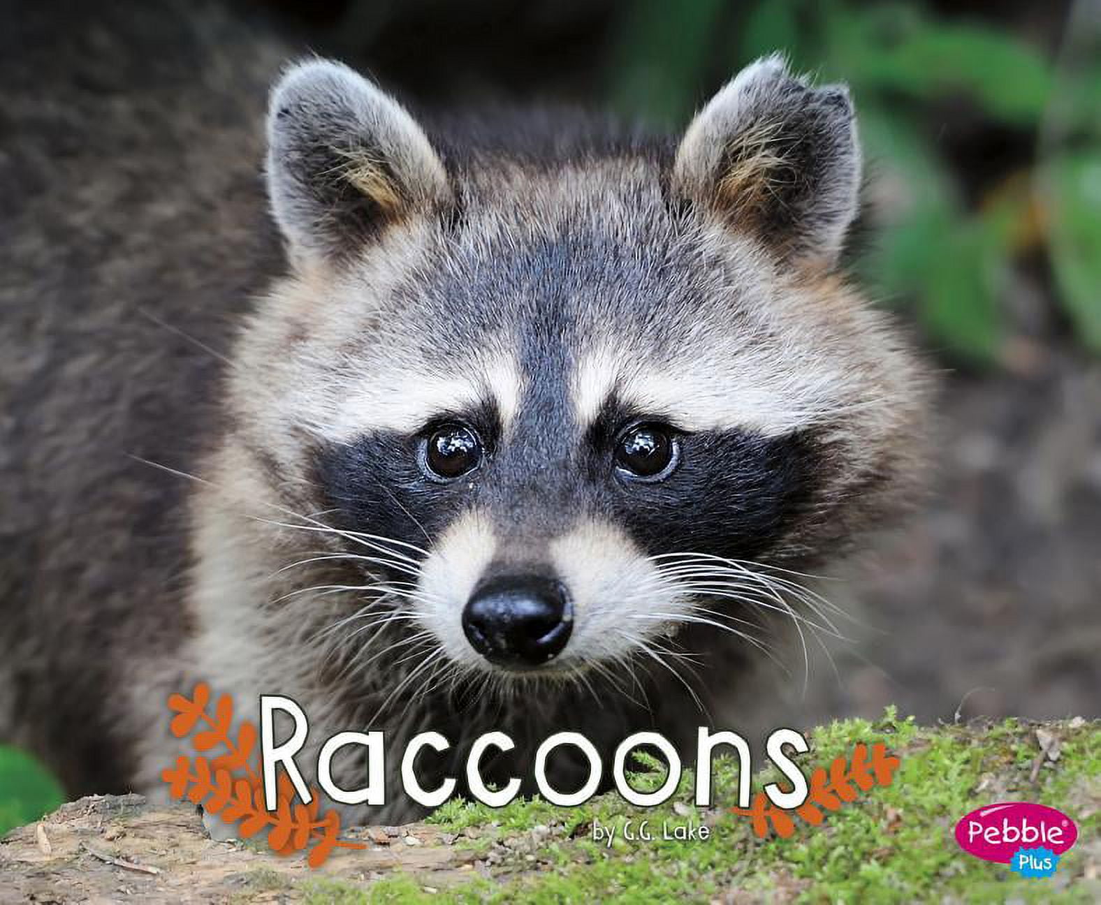 Woodland Wildlife: Raccoons (Paperback) - Walmart.com